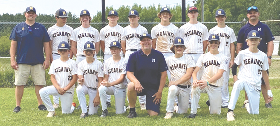 State finals bound: Negaunee wins sectional, advances to Little League ...